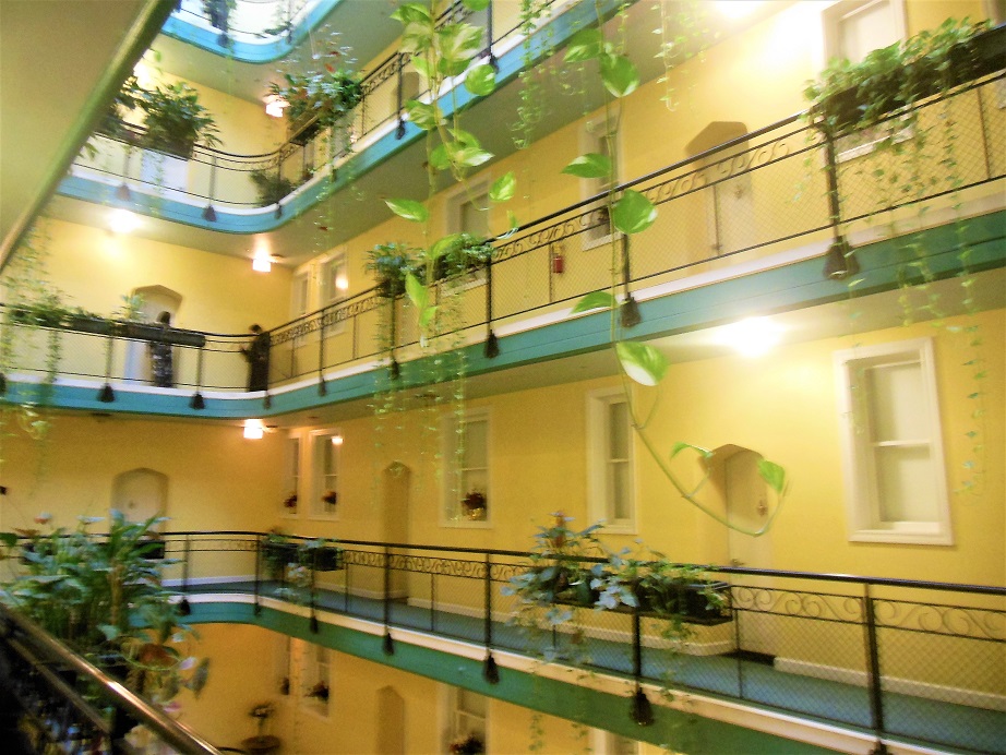 The Yale Building of Chicago: atrium under the influence of cat ...