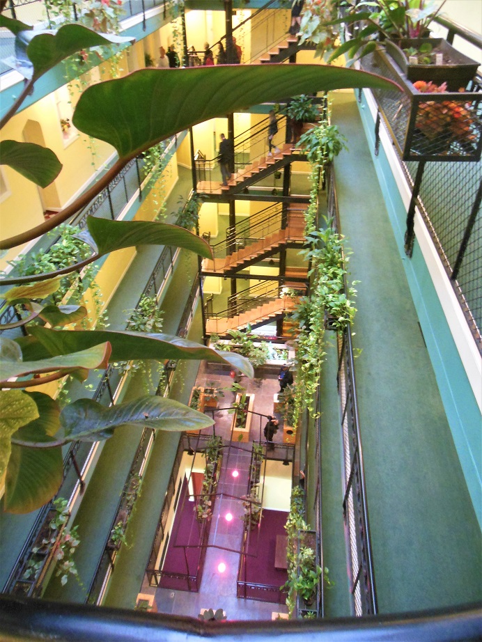 The Yale Building of Chicago: atrium under the influence of cat ...