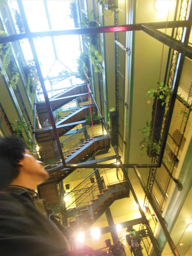 The Yale Building of Chicago: atrium under the influence of cat ...